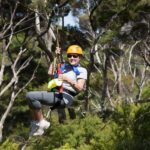 Waiheke Island: Zipline and Native Forest Adventure Trip - The Guided Bush Walk and Cultural Insights