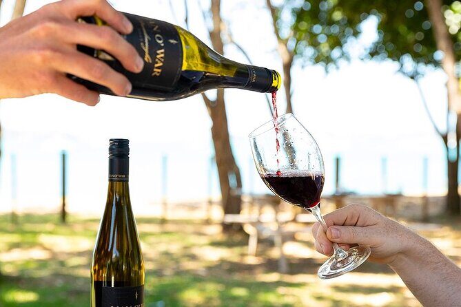 Waiheke Luxury 9 Hour Tour Tailored to You - Who Is This Tour Best Suited For?