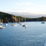 Waiheke Wine and Dine - Batch Winery - What the Reviews Say: Authentic Insights
