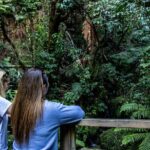 Waihora Bay Shared Tour from Kinloch Marina - What to Expect During the Tour