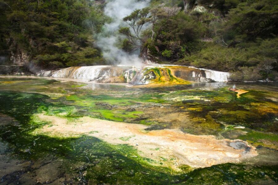 Waimangu: Volcanic Valley Walk and Lake Rotomahana Cruise - The Lake Rotomahana Boat Cruise
