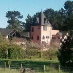 Waipara Wine Experience for 2 or more, inc tastings and lunch - The Itinerary