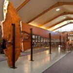 Waipoua KAURI Forest, Tane Mahuta & Museum Tour Ex Auckland - The Kauri Museum in Matakohe: History, Art, and Industry