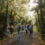 Waitakere Ranges Wilderness Experience Tour from Auckland - Who Will Love This Tour?