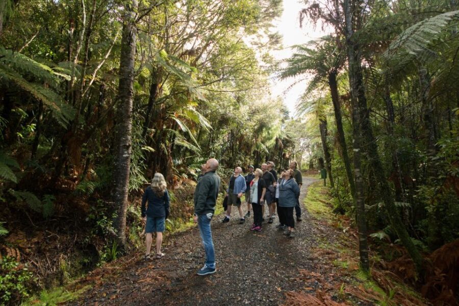Waitakere Ranges Wilderness Experience Tour from Auckland - Who Will Love This Tour?