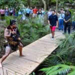 Waitangi: Treaty Grounds Hng and Concert Combo Pass - Food and Cultural Highlights