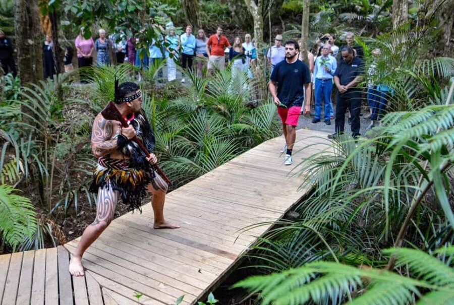 Waitangi: Treaty Grounds Hng and Concert Combo Pass - Food and Cultural Highlights