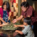 Waitangi Treaty Grounds Tour from Auckland - The Practicalities and Value