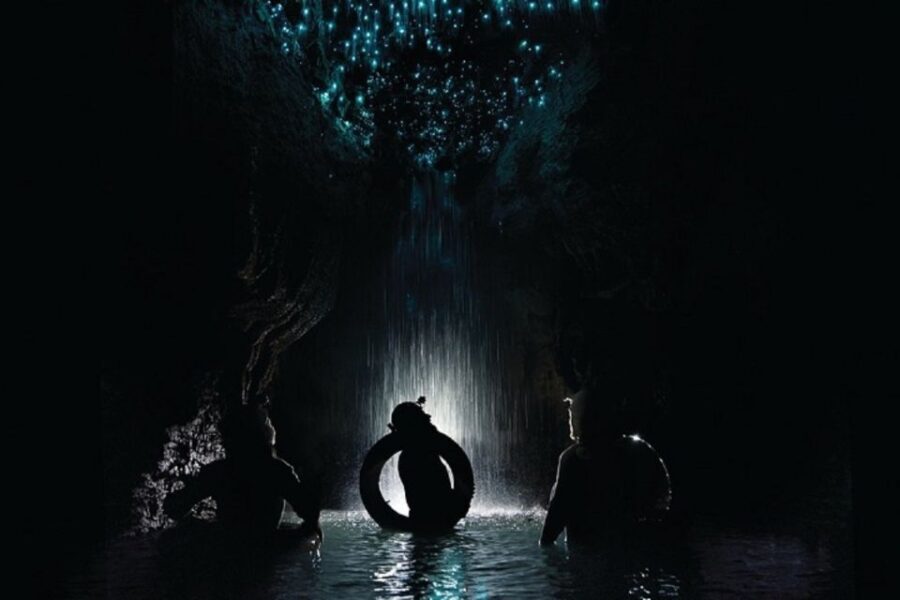 Waitomo Caves Black Abyss Ultimate Caving Experience - The Heart of the Tour: Abseiling, Ziplining, and Waterfalls