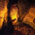 Waitomo Caves Private Tour from Auckland - An In-Depth Look at the Tour