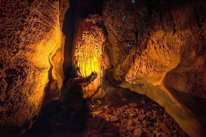 Waitomo Caves Private Tour from Auckland - An In-Depth Look at the Tour