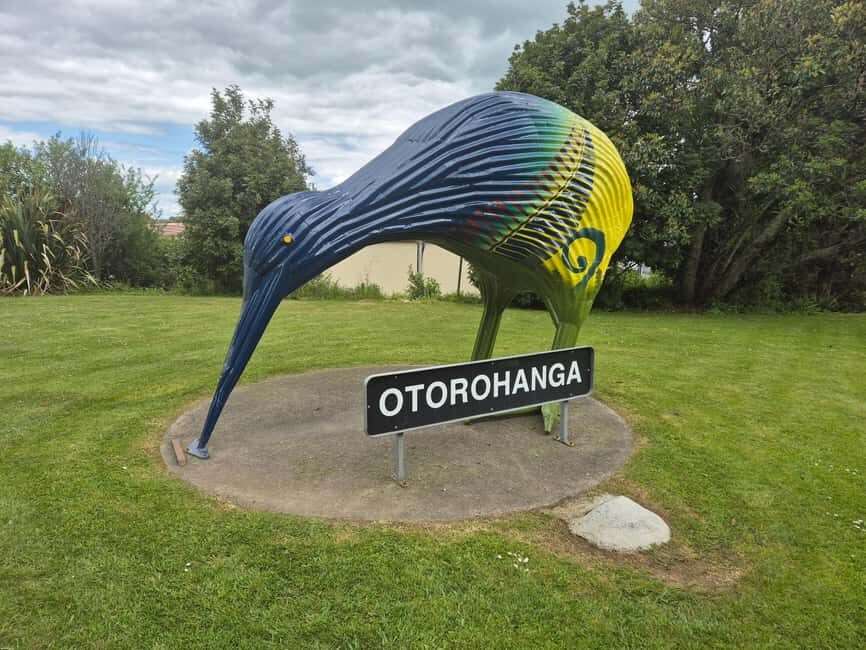 Waitomo: Caves to Kiwis eBike ride - Practicalities and Logistics: What to Expect