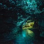 Waitomo Caves, Zealong Tea & Kiwi House Private Tour - The Practicalities: Transport, Duration, and Value