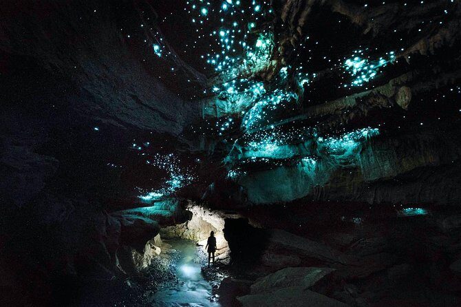 Waitomo - Eco Adventure Glowworm Cave Tour - Off the Beaten Track - The Detailed Itinerary