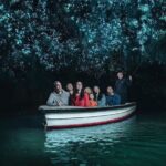 Waitomo Glow Worm Caves Private Tour from Auckland - An In-Depth Look at the Tour Experience