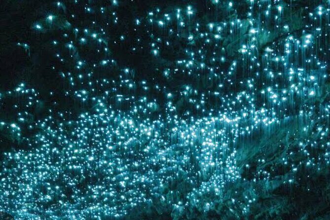 Waitomo Glowworm Caves and Ruakuri Cave - FAQ
