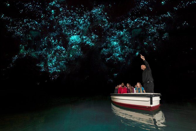 Waitomo Glowworm Caves Guided Tour - Analyzing the Value