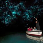 WAITOMO GLOWWORM CAVES & HAMILTON GARDENS - PRIVATE TOUR - What’s Included and What’s Not