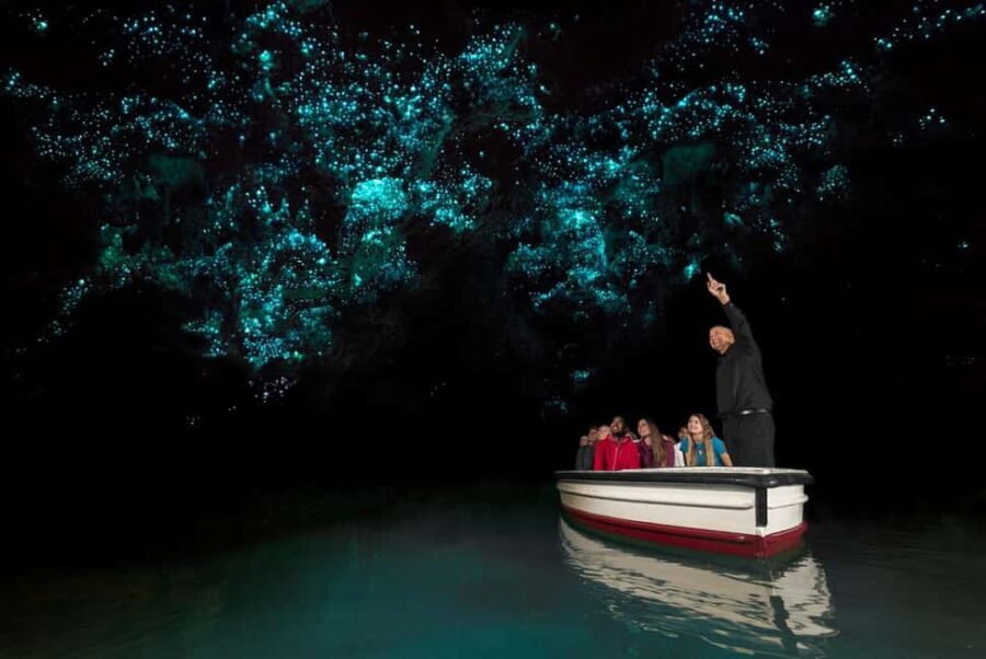 WAITOMO GLOWWORM CAVES & HAMILTON GARDENS - PRIVATE TOUR - What’s Included and What’s Not