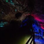 Waitomo Glowworm & Ruakuri Twin Cave - Private Tour From Auckland - A Deep Dive into the Experience