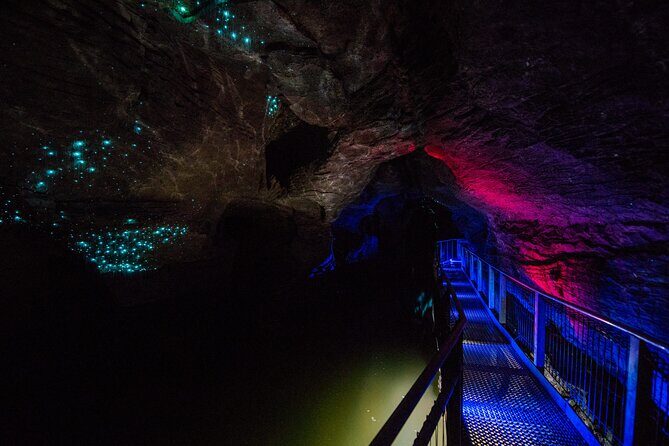 Waitomo Glowworm & Ruakuri Twin Cave - Private Tour From Auckland - A Deep Dive into the Experience