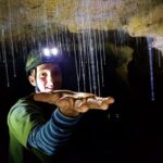 Waitomo: Guided Eco-Cave Tour - An In-Depth Look at the Waitomo Eco-Cave Tour