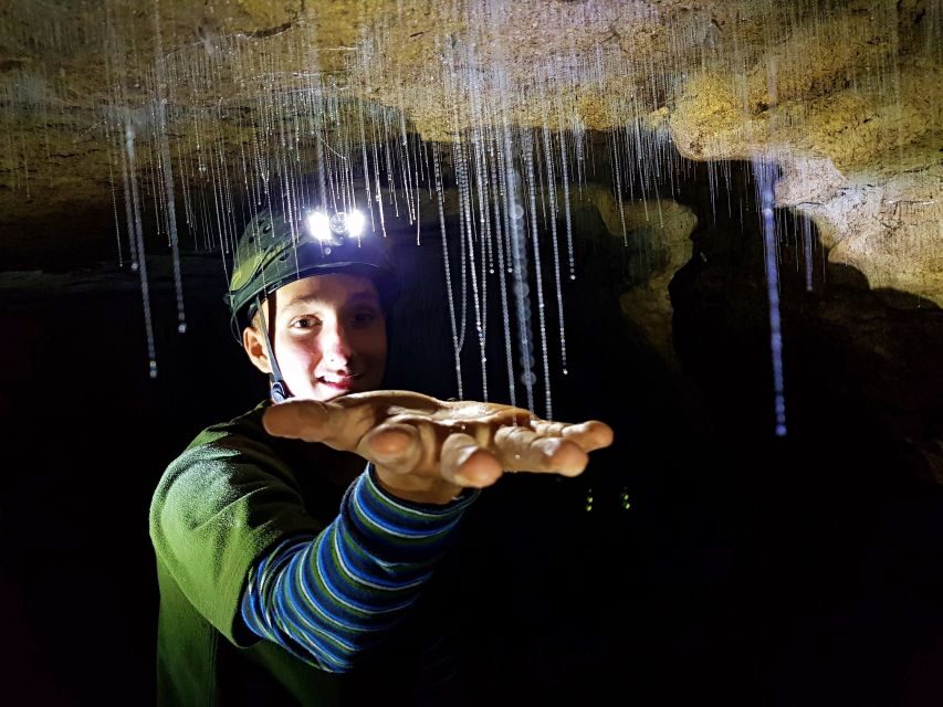 Waitomo: Guided Eco-Cave Tour - An In-Depth Look at the Waitomo Eco-Cave Tour