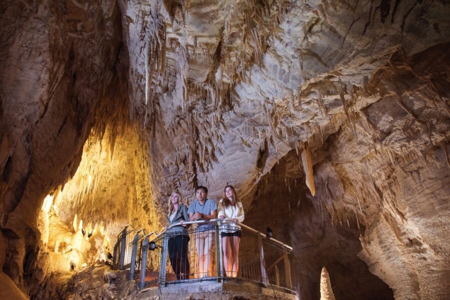 Waitomo: Ruakuri Cave 1.5 Hour Guided Tour - Practicalities of the Tour
