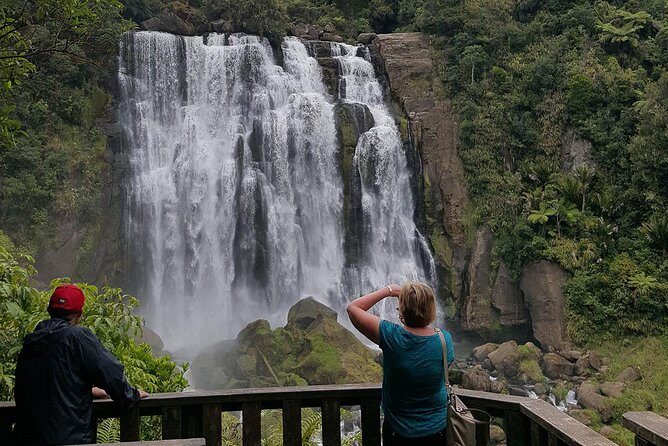 Waitomo & The King Country Exclusive Luxury Day Tour from Auckland - Itinerary Breakdown: What to Expect