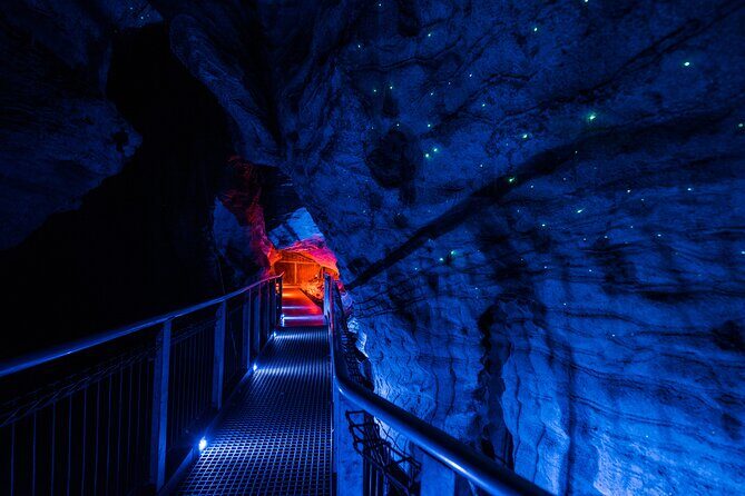 Waitomo Triple Cave Experience - Private Tour From Auckland - Who Should Consider This Tour?