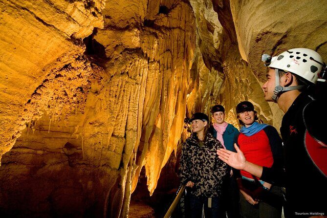 Waitomo - Twin Caves Discovery - Private Day Tour from Auckland - The Practicalities and Value