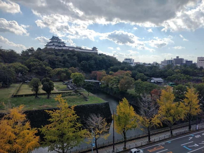 Wakayama: Historical Costume Rental and Castle Tour - Who Will Love This Tour?
