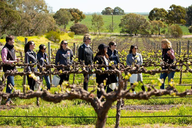 Walk, Taste, Graze - Experience at Pindarie - Tasting Unusual Wines in a Heritage Setting