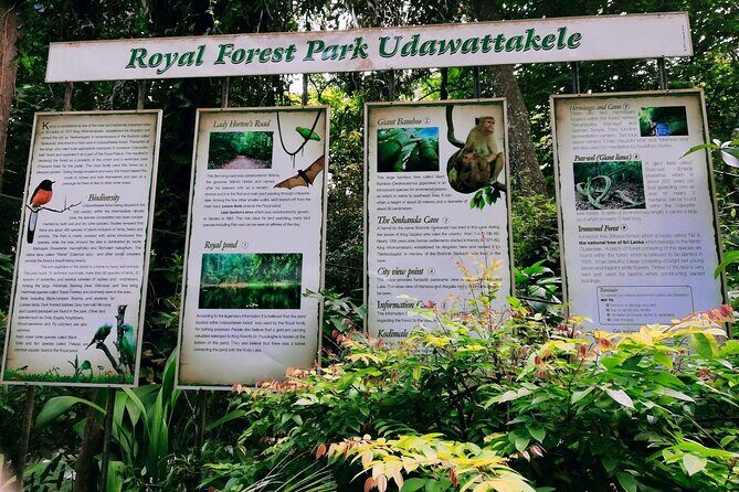 Walk Through Udawatta Kele Sanctuary with Guide - Flora and Fauna: What Youll See