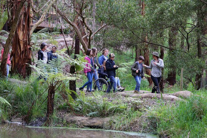 Walk with Wildlife: Guided Tour in Great Ocean Road - The Sum Up: Who Will Love This Experience?