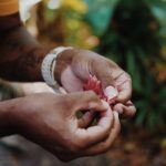Walkabout Cultural Adventures - Ngana Julaymba Dungay Full Day - The Sum Up
