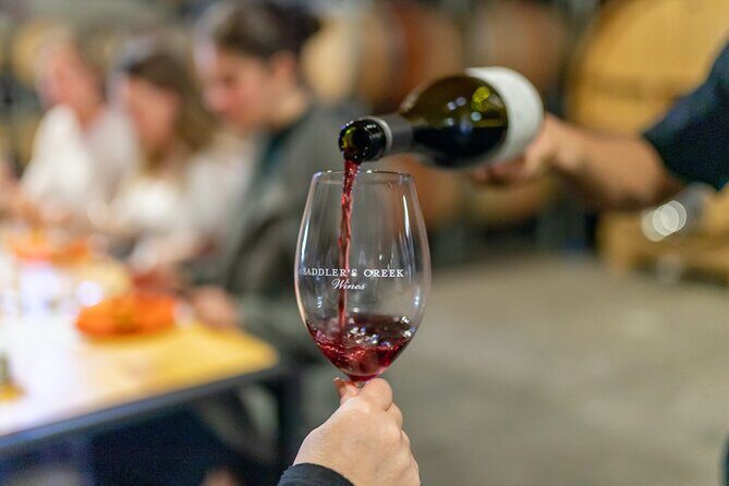 Wallabies and Wine Hunter Valley Adventure Private Tour - Transportation and Group Size