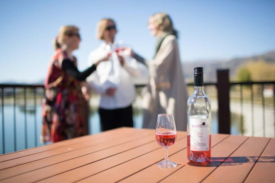 Wanaka: Afternoon Boutique Wine Tour - Who Would Love This Tour?