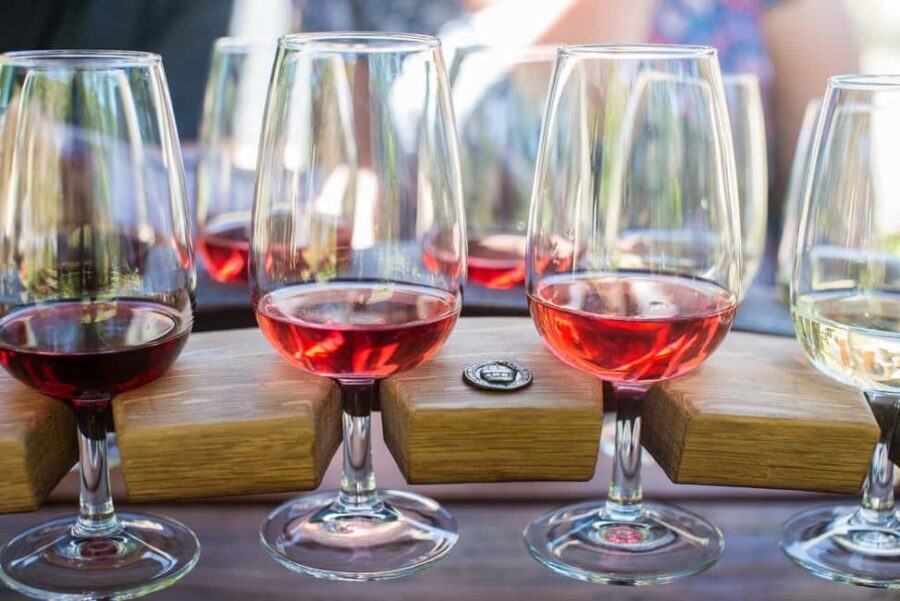 Wanaka: Full Day Classic Wine Tour with Lunch - Who Will Love This Tour?