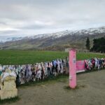 Wanaka Private Day Trip from Queenstown: TravelnGo - Why This Tour Provides Great Value