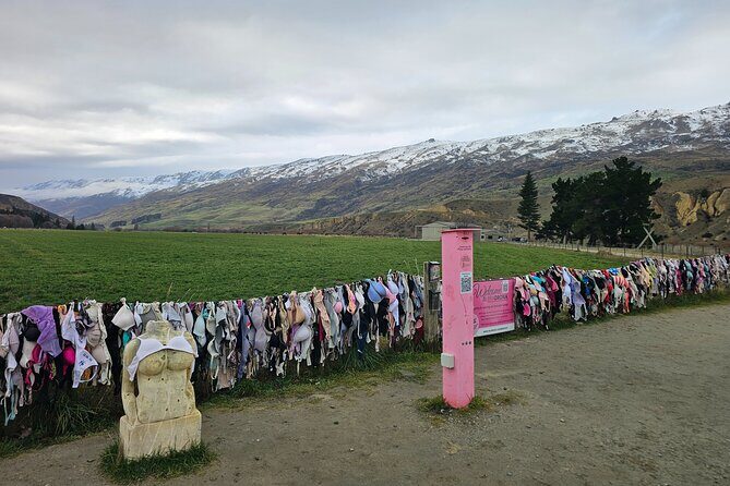 Wanaka Private Day Trip from Queenstown: TravelnGo - Why This Tour Provides Great Value