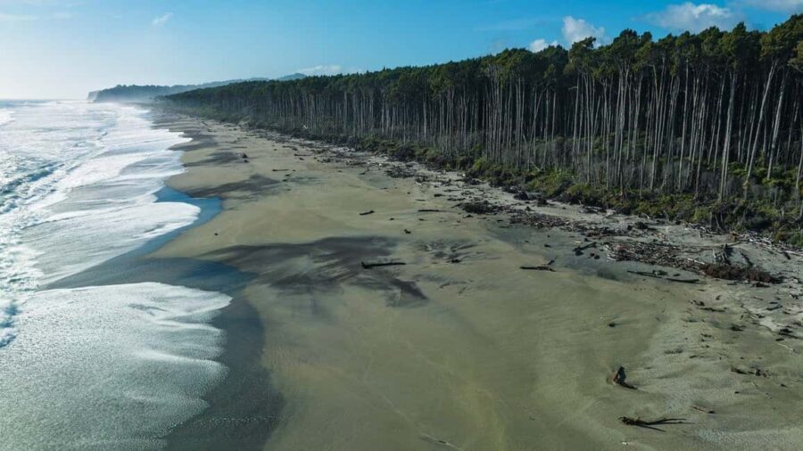 Wanaka to Franz Josef Small Group 1 Way Tour with Lunch - What to Expect & Practical Details