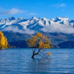 Wanaka to Franz Josef Small-Group Tour (One Way) Includes Lunch - Authentic Feedback and Insights