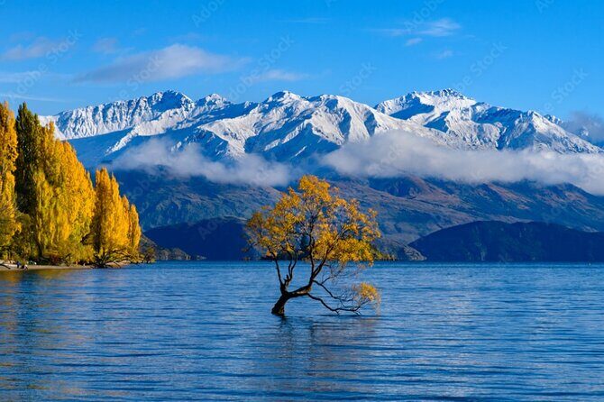 Wanaka to Franz Josef Small-Group Tour (One Way) Includes Lunch - Authentic Feedback and Insights