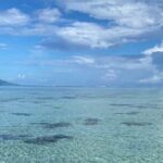 Want to escape? Treat yourself to a snorkeling session in Tahiti! - Practical Details and Value