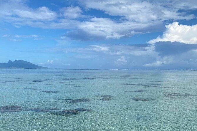 Want to escape? Treat yourself to a snorkeling session in Tahiti! - Practical Details and Value