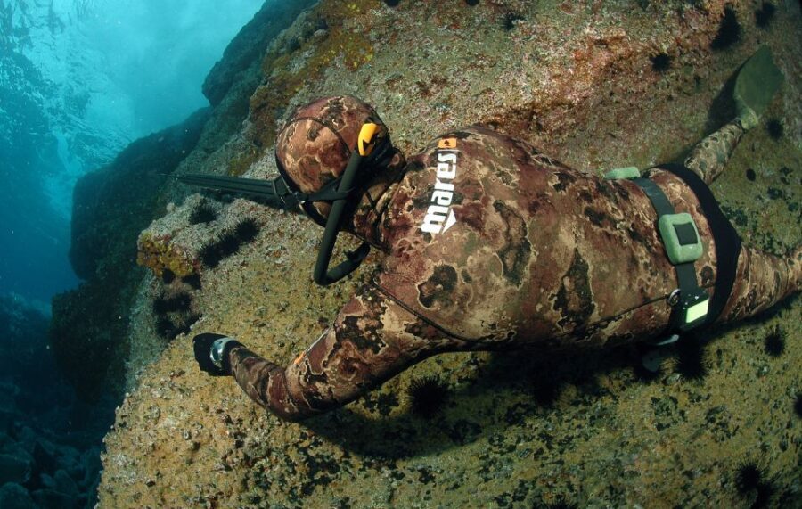 Warkworth: Full-Day Spearfishing Charter - What We Think About the Value