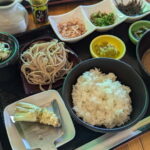 Wasabi Farm Walking Tour with Lunch - The Traditional Lunch and Wasabi Tastings