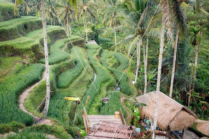 Water Rafting adventure with Jungle Swing & rice terraces - The Guides and Overall Service