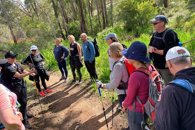 Waterfalls, Wildflowers & Wandoo Hiking Experience - Who Should Consider This Tour?